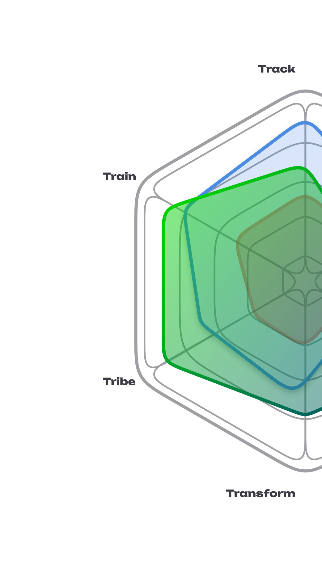 Optimize - Final – Vieroots