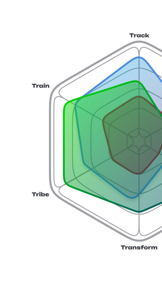 Optimize by Vieroots